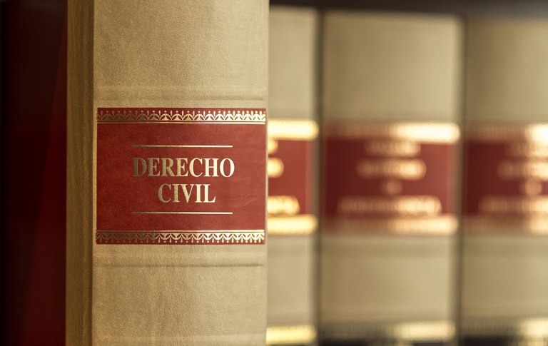 Derecho (civil) común, the Common Law of Spain | Léxico Jurídico ...
